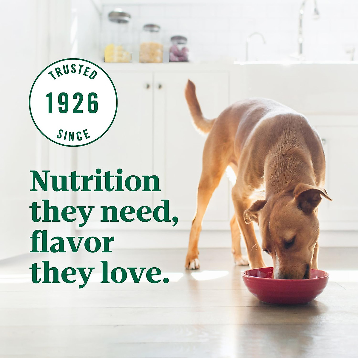 Nutro Ultra Adult Dry Dog Food with a Trio of Proteins from Chicken, Lamb and Salmon, 24 lb. Bag