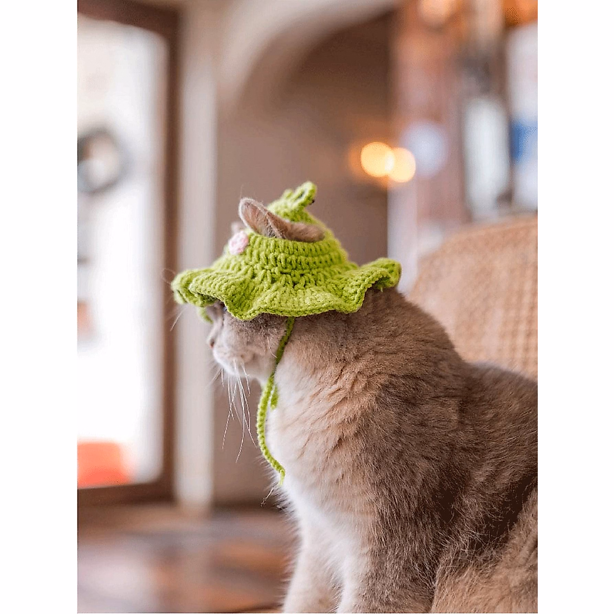 QWINEE Cartoon Design Knit Cute Dog Hat Soft Cat Hat Rabbit Hat Halloween Christmas Party Costume Head Wear Accessories for Puppy Cat Kitten Small Dogs Small Animals Green and Pink Medium