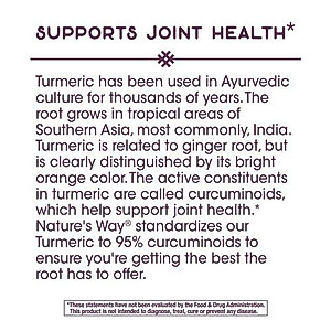 Nature's Way Premium Extract Turmeric Max Potency Standardized to 95% Curcuminoids 750 mg per serving 60 VCaps