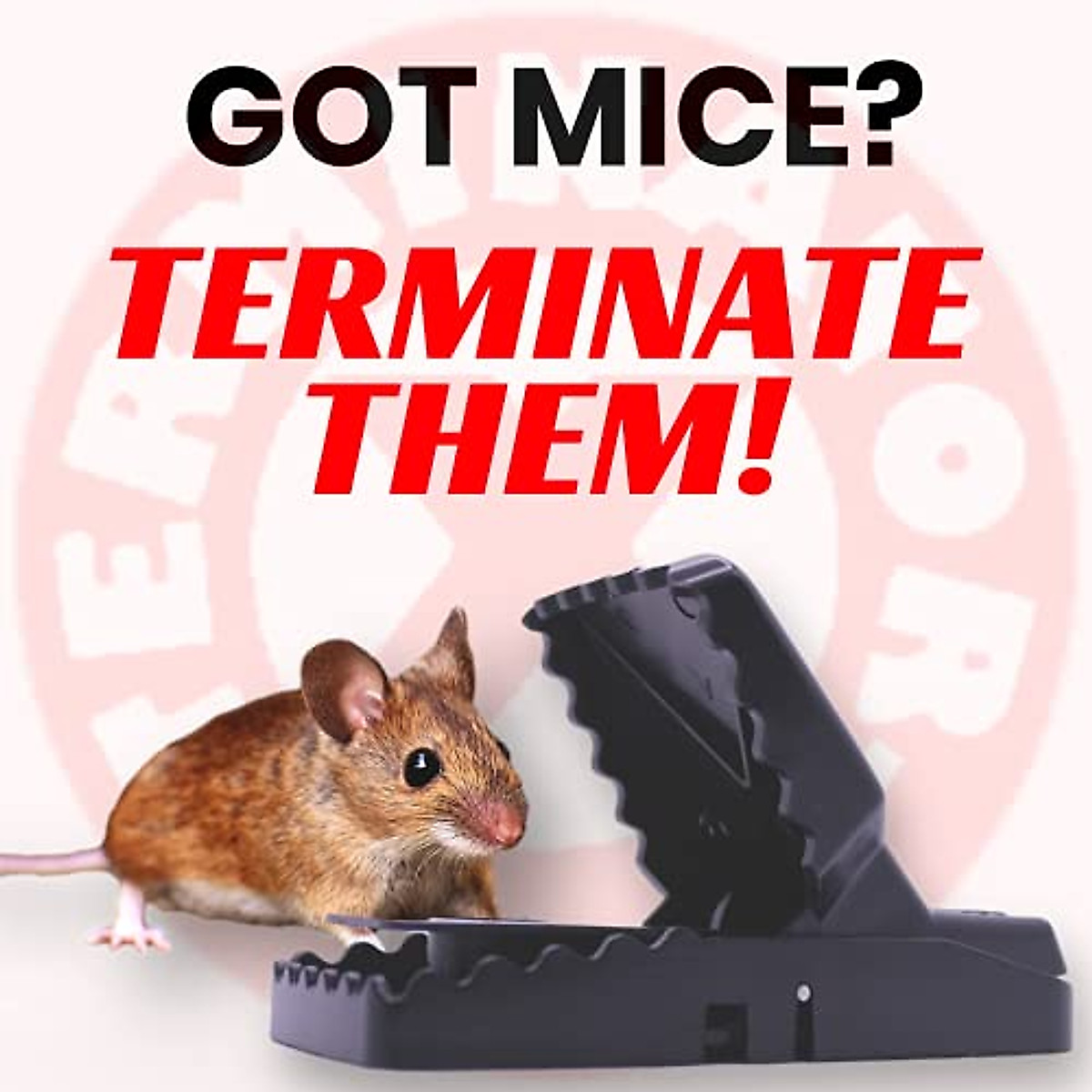 Mouse Traps, Mice Traps for House, Small mice Trap Indoor, Mouse Traps no See Kill, Reusable Mousetrap, Mice Trap That Work Outdoor, Pest Control Traps