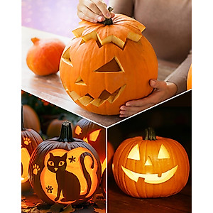 Luditek Halloween Pumpkin Carving Tools, Halloween Jack-O-Lanterns 11 Piece Professional Stainless Steel Pumpkin Carving Kit, Pumpkin Cutting Supplies Tools Kit for Adults Kids