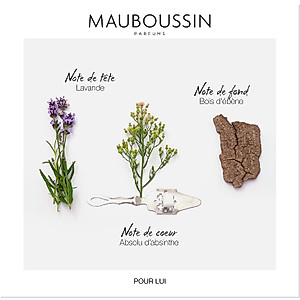Mauboussin - Pour Lui 100ml (3.3 Fl Oz) - Eau de Parfum for Men - Fern & Modern Scents