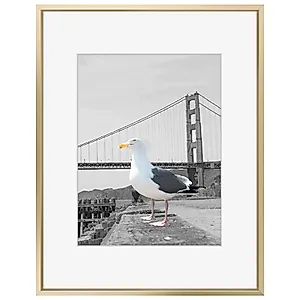 Frametory, 16x20 Metal Picture Frame with Mat for 11x14 Picture & Real Glass, Aluminum Photo Frame Collection (Gold, 1 Pack)