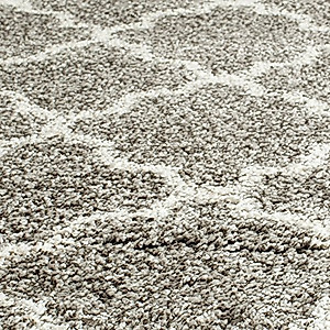 SAFAVIEH Hudson Shag Collection Accent Rug - 4' x 6', Grey & Ivory, Trellis Design, Non-Shedding & Easy Care, 2-inch Thick Ideal for High Traffic Areas in Entryway, Living Room, Bedroom (SGH282B)