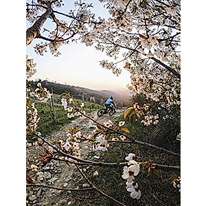 GoPro HERO9 Black - Waterproof Action Camera with Front LCD and Touch Rear Screens, 5K Ultra HD Video, 20MP Photos, 1080p Live Streaming, Webcam, Stabilization