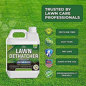 PetraTools Liquid Dethatcher (32oz) and Liquid 16-4-8 Lawn Fertilizer (32 oz)