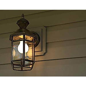 Feit Electric LED Light Bulbs, A19 60W Equivalent, Non-Dimmable, 800 Lumens, A19 LED Light Bulbs, E26 Base, 5000k Daylight, A19 LED Bulbs, 10 Year Lifetime, 1 Pack, A800/850/10KLED