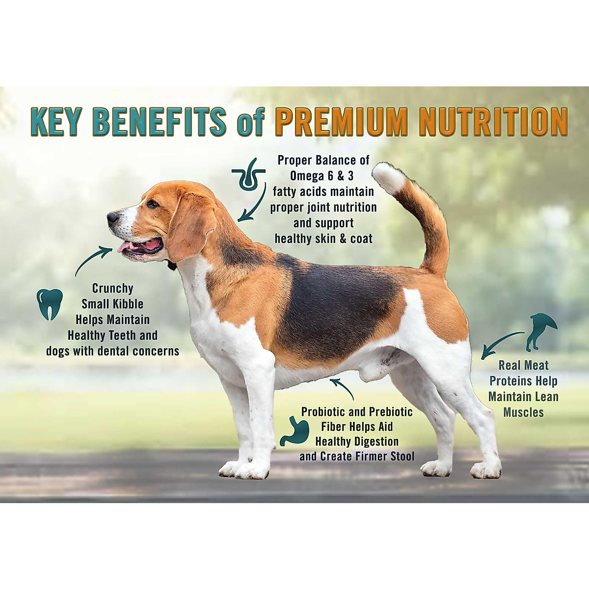 Chicken Soup for The Soul Classic Dry Small Bites Adult Dog Food, Chicken, Turkey & Brown Rice Recipe, 28 Pound Bag | Soy, Corn & Wheat Free, Small Breed Dog Food Made with Real Ingredients