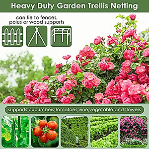 PACETAP 2PCS 6x16.4Ft Trellis Netting for Outdoor Climbing Plants, Garden Plant Trellis Netting with 100PCS Zip Ties for Cucumber, Tomato, Vine, Vegetable Fruit and Flowers