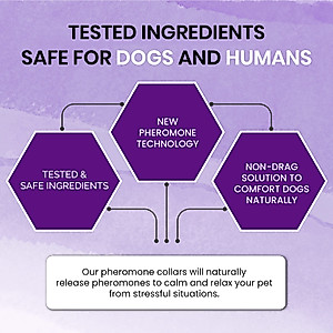 Royce Naturals 4 Pack Calming Collar for Dogs, Pheromone Breakaway Dog Collar, Separation Anxiety Relief for Dogs, Purple, (PETCOL01-3PP)