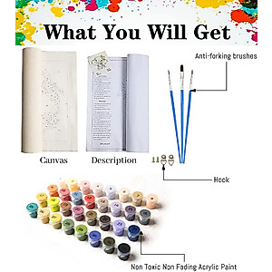 Paint By Numbers for Adults - DIY Adult Paint by Number Kits Pack On Canvas Sunset Beach Painting by Numbers for Beginners,Acrylic Paint Boat On Mountains Lake Crafts for Home Decor (11.8x15.8inch)