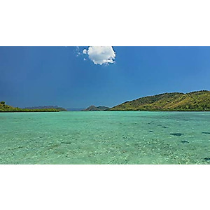 Ocean and Underwater DVD - Under And Above The Pacific Ocean - Fly Over Tropical Paradise - Row over Coral Reefs and Dive With The Turtles