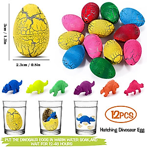 Golray Dinosaur Party Favors Birthday Supplies Gift Box Dino Egg Model Puzzle Mask Stamper Slap Bracelet Keychain Tattoo Sticker Goody Bag Stuffer Pinata Filler 102Pcs Boy Kids Dinosaur Party Supplies