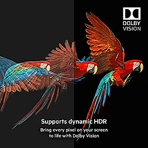 Belkin Ultra HD HDMI 2.1 Cable 6.6FT/2M, 4K Ultra High Speed HDMI Cable, 48Gbps HDMI 2.1 Cord - Dolby Vision HDR & 8K@60Hz Capable, Compatible w/ Playstation, PS4, PS5, Xbox Series X, RokuTV & More