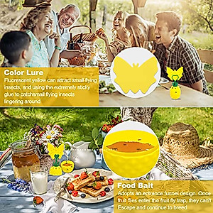 Fruit Fly Traps with 24Pcs Sticky Pads,Gnat Traps with Bait Non-Toxic Fruit Fly Traps for Indoors Outdoor Odorless Safe Fly Catcher Gnat Fruit Flies Trap Fly Insect Trap for Plant House Kitchen,4 Pack