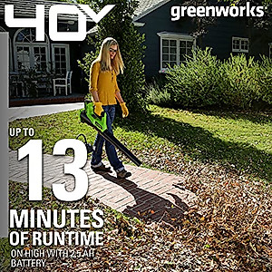 Greenworks 40V 14-Inch Mower/Axial Blower/12-Inch String Trimmer Combo Kit, 4Ah USB Battery and Charger Included, CK40B411