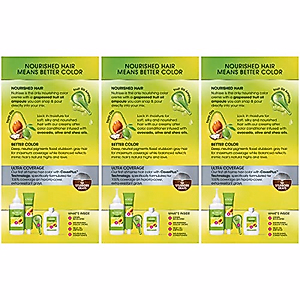 Garnier Hair Color Nutrisse Ultra Coverage Nourishing Creme, 530 Deep Medium Golden Brown (Chestnut Praline) Permanent Hair Dye, 3 Count (Packaging May Vary)