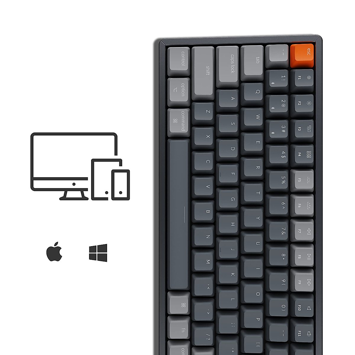 Keychron K4 RGB Hot Swappable Mechanical Keyboard, 96% Layout Bluetooth Wireless/USB Wired Computer Keyboard with Gateron G Pro Brown Switch Aluminum Frame for Mac Windows-Version 2