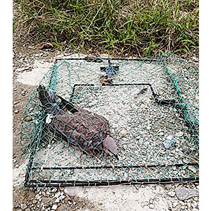 DSQSTMR Pigeon Bird Trap Trapping Hunting Quail Cage Sparrow Spring Starling Catching Net Traps for Trapping