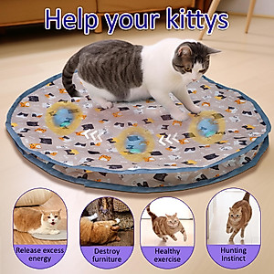 Giociv Interactive Cat Toys Ball Fast Rolling in Pouch, Motion Activate Chirping Cat Toy Hide and Seek Mouse Catching Game (Blue)