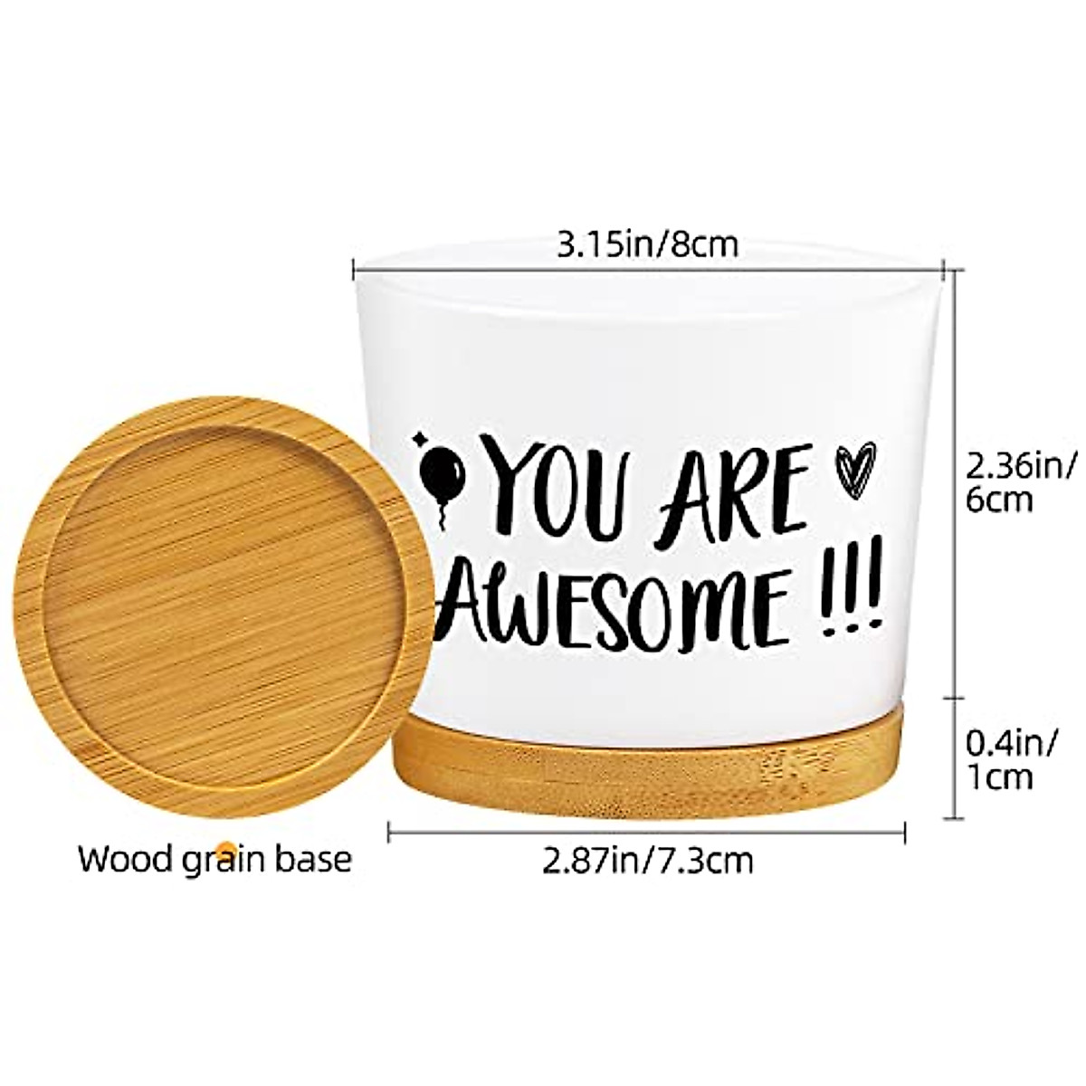 Birthday Gifts for Women,Bestfriend Gifts for Women,Unique Gift Ideas for Birthday,Inspirational Gifts for Women,Graduation Gifts, Plastic Succulent Pots Gifts with Gift Boxed(You are Loved)