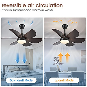 MADSHNE Ceiling Fans with Lights and Remote,36" Black Outdoor Ceiling Fans with 6 Reversible Wood Blades,Small Modern Ceiling Fans for Patio Kitchen Bedroom