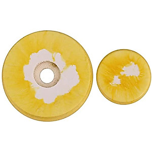 Jiayouy Pack of 16 Flute Pads Repair Kit Flutes Replacement Parts Accessories