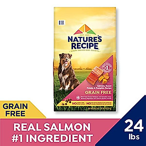 Nature’s Recipe Grain Free Salmon, Sweet Potato & Pumpkin Recipe Dry Dog Food, 24 lb. Bag