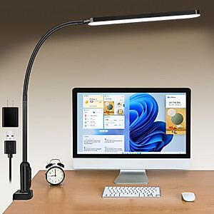 BIENSER LED Desk Lamp with Clamp, Super Bright, 11 LED Lights, 5 Color Modes, Flexible Gooseneck, Eye-Caring, Black, Metal & Silicone, Office Reading Lamp