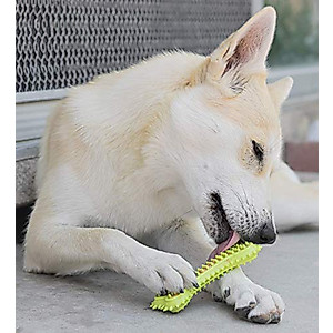 Pacific Pups Products for Dogs 18 Piece Dog Toy Set with Dog Chew Toys, Rope Toys for Dogs, Plush Dog Toys and Dog Treat Dispenser Ball - Supports Non-Profit Dog Rescue