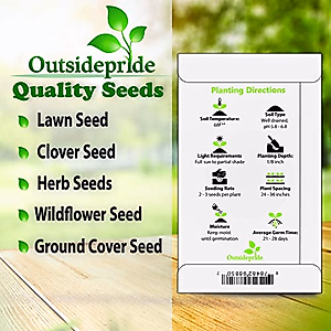 Outsidepride Perennial Blue Wild False Indigo Baptisia Australis Garden Plant - 100 Seeds