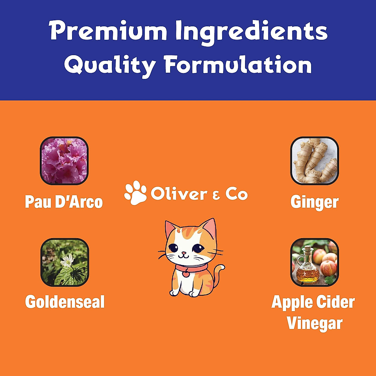 Natural Antibiotics for Cats - Cat Antibiotics - Cat Antibiotic - Pet Antibiotics - Cat Immune Support - Antibiotic for Cats - Cat Multivitamin - Cat UTI Antibiotics - 1 fl oz - Chicken Flavor