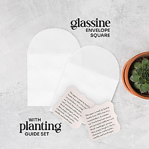 Seed Bloom Set of 24 Purple Butterfly – Plantable Seed Paper for Bridal Shower Weddings, and Gifts