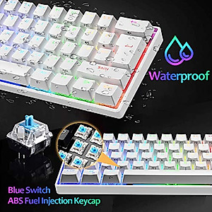 UK Layout 60% True Mechanical Gaming Keyboard Type C Wired 61 Keys LED Backlit USB Waterproof Keyboard 14 Chroma RGB Backlight Full Anti-ghosting Keys for Computer/PC/Laptop/MAC (White/Blue Switch)