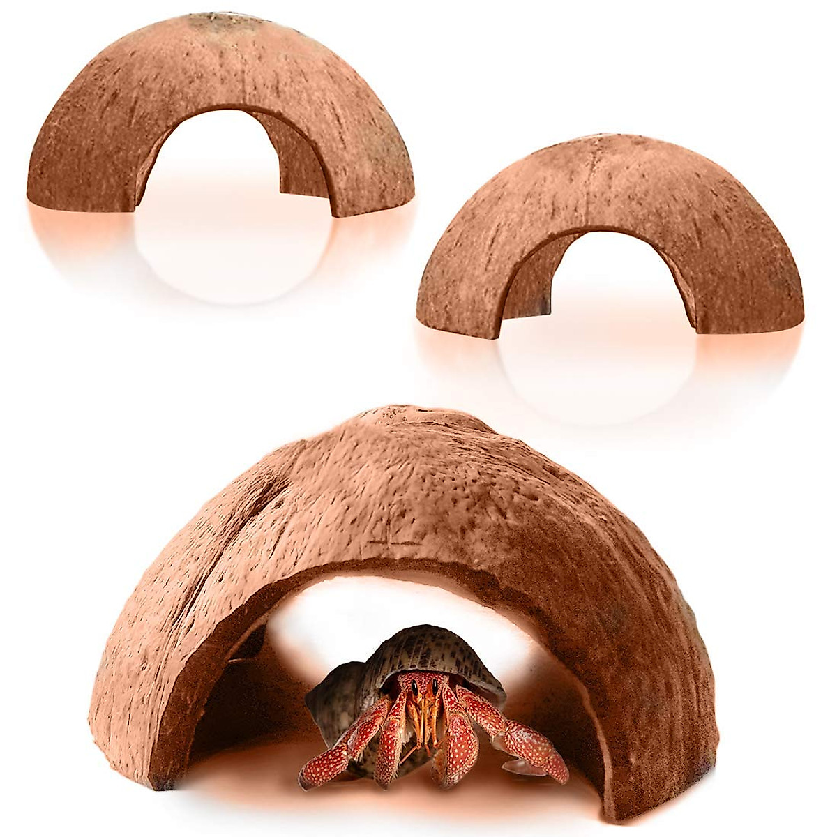 SunGrow Hermit Crab Huts, 5x3 Inches, Arthropod's Coconut Hide, Spacious Coco Tunnel, Use as Hermit Cave or Climber, 3-Pcs