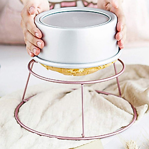 DOITOOL 2Pcs Bread Cooling Rack Stainless Steel Non Stick Cooking Stand Cookies Cakes Drying Rack Bread Storage Holder Baking Supplies Rose Gold