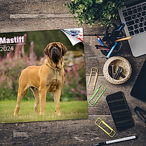2023 2024 Mastiff Calendar - Dog Breed Monthly Wall Calendar - 12 x 24 Open - Thick No-Bleed Paper - Giftable - Academic Teacher's Planner Calendar Organizing & Planning - Made in USA