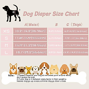 Hi Sprout Female Dog Diaper Reusable Washable Durable Absorbent Cloth Doggie Diapers Pants-Butterfly and Toucan XS