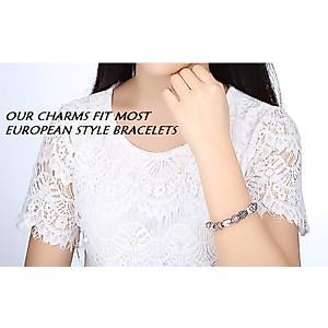 EVESCITY Silver Caduceus Medical Nurse Doctor Bead Sterling Charm Fits Pandora & Similar Bracelets