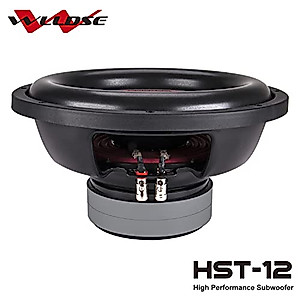 WLLDSE 12 inch 1200 Watt Peak Momentary Power Dual 2 Ohm Car Subwoofer, Black