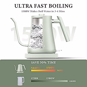 Gooseneck Electric Kettle Fabuletta 1500W Ultra Fast Boiling Water Kettle 100% Stainless Steel for Pour-over Coffee & Tea Leak-Proof Design French Press Boil-Dry Protection 1L Sage Green