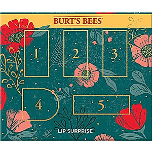 Burt’s Bees Lip Surprise Set