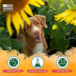 TropiClean Maximum Strength Natural Flea and Tick Dog Shampoo, Natural Flea and Tick Prevention for Dogs, Made in the USA, 20oz