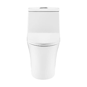 Hugo One Piece Elongated Dual Flush Toilet 1.1/1.6 gpf