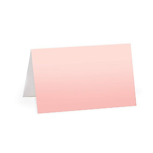 Andaz Press Blush Pink Rose Elegant Party Collection, Blank Place Cards, 20-Pack, Placecards Food Dessert Table Tent Favors Decor