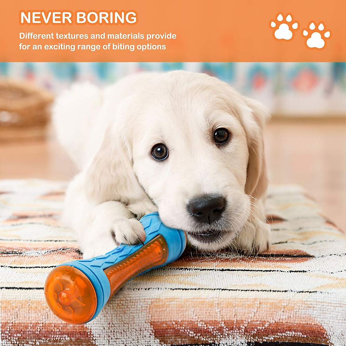 CoubonTail Dog Squeaky Toys Pack 4 Pcs, Pool Toys, Floating Toys for Interactive Fetch & Play, Dog Beach Toy Set, TPR