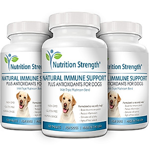 Nutrition Strength Immune Support for Dogs Plus Antioxidant, Reishi, Shiitake, Maitake, Turkey Tail Mushrooms for Dogs, with Coenzyme Q10, Nutritional Support for Dogs, 120 Chewable Tablets