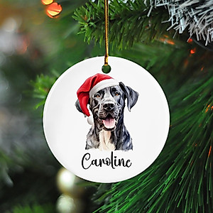 Funny Great Dane Ceramic Ornament Christmas 2025, Personalized Name Great Dane Dog Lover Ornament Xmas Tree, Custom Great Dane Christmas Ornament Gift for Dog Dad Dog Mom, Great Dane Ceramic Ornament