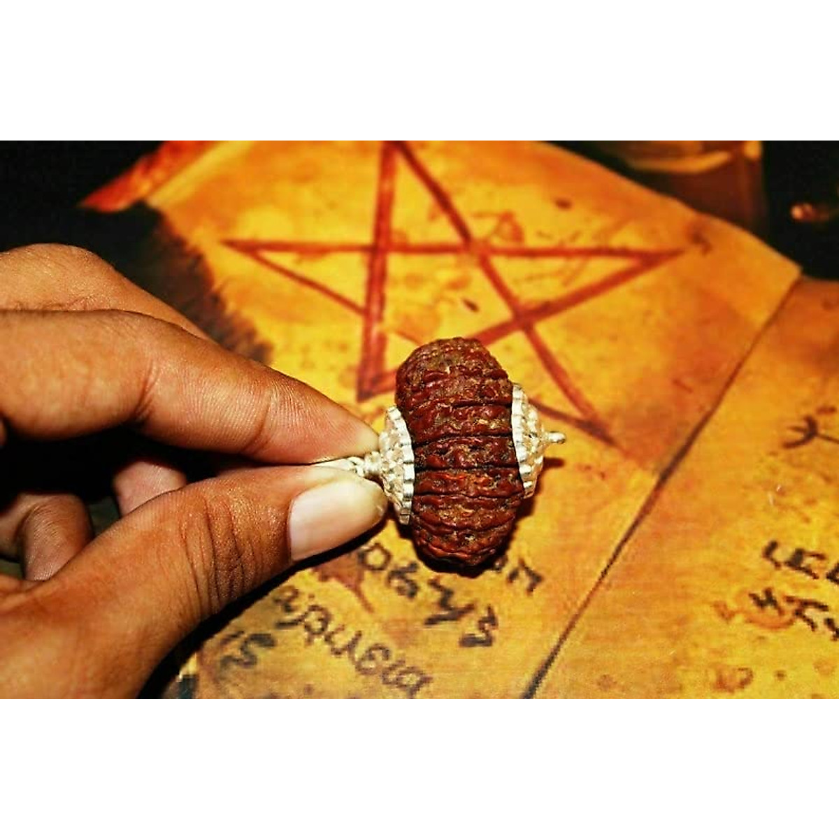 Astrodivine 21 Mukhi Rudraksha Original Certified Pendant Sterling Silver Real Nepal Bead Genuine Rudraksh Fruit 21 मुखी रुद्राक्ष पेंडल