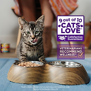 Wellness Complete Health Minced Grain Free Canned Cat Food, Chicken Dinner, 3 Ounces (Pack of 24)